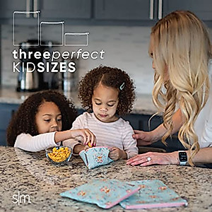 Simple Modern Ellie Reusable Snack Bags Sandwich Bag - Food Storage, 3 Pack, Glacier Stripes