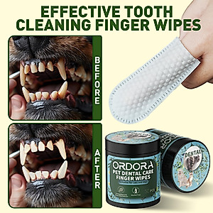 ORDORA PET Teeth Cleaning Wipes for Dogs & Cats, Dog Teeth Cleaning Finger Wipes - Dog Tooth Brushing Kit Dental Wipes - Reduces Plaque & Freshens Breath (50 Pcs)