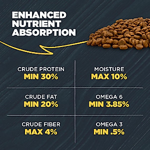 Blackwood Puppy & Performance Dry Dog Food, Chicken Meal with Ancient Grains, 24 Pound Bag for Growing & Working Dogs, Supports Active Lifestyle