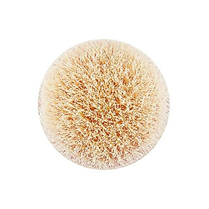 EcoTools Dry Body Brush, For Post Shower & Bath Skincare Routine, Removes Dirt & Promotes Blood Circulation, Helps Reduce Appearance of Cellulite, Eco-Friendly, Vegan & Cruelty-Free, 1 Count