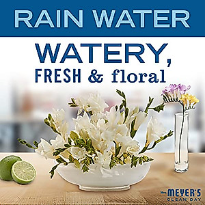 MRS. MEYER'S CLEAN DAY Liquid Dish Soap, Biodegradable Formula, Rain Water, 16 fl. oz
