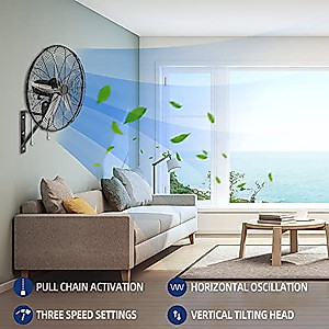 SKINNYBUNNY 20 Inch Wall Mounted Fan, High Velocity 3 Speed for Industrial, Commercial, Residential, and Greenhouse Use, Black