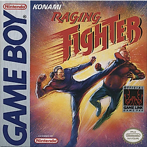 Raging Fighter