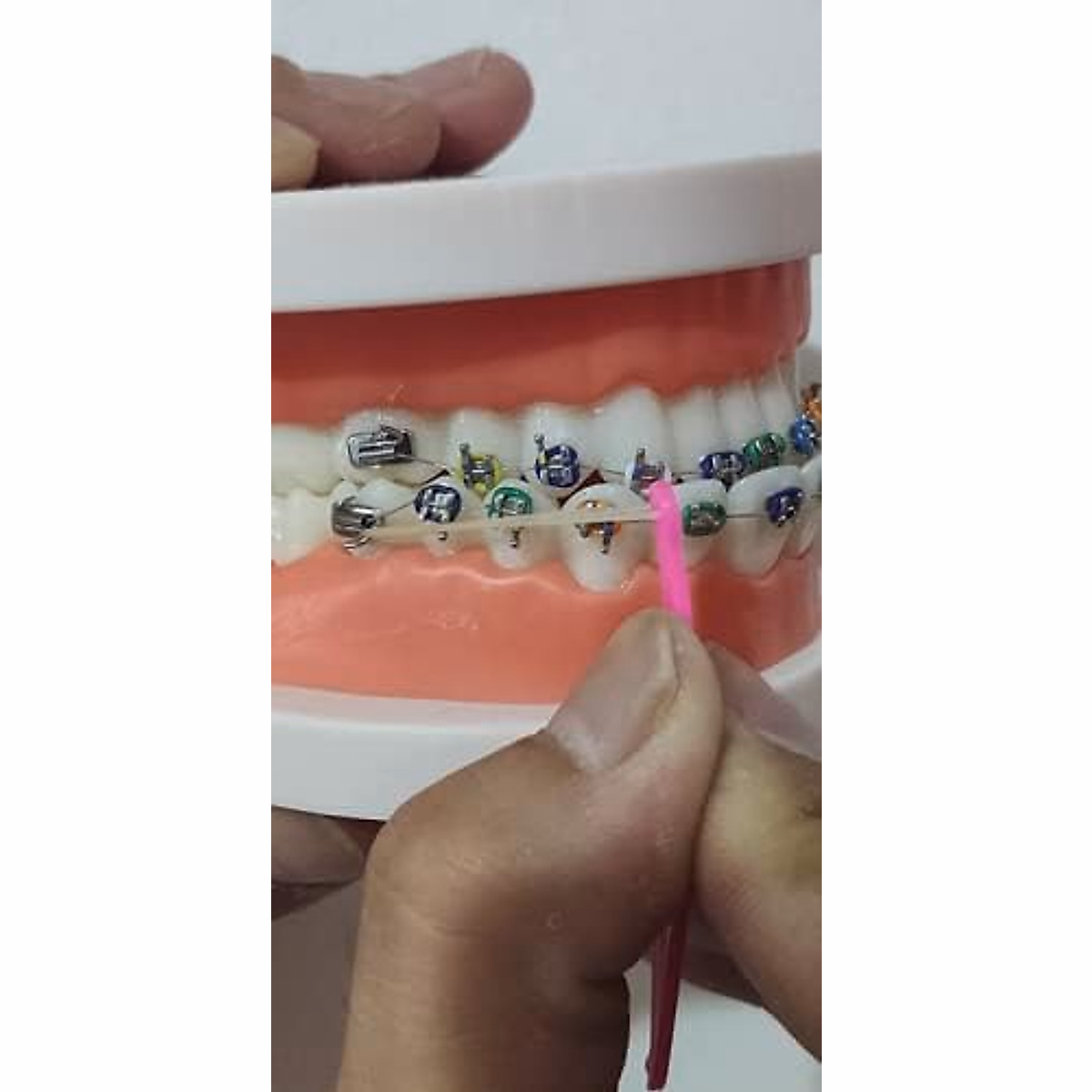 3/16" inch Orthodontic Elastic Rubber Bands 3 x 100 packs Neon medium force 4.5 oz, Rubberbands for making bows, Dreadlocks, Dreads, Doll Hair, Braids, Horse Mane Tail, FREE elastic placer by AdentalZ