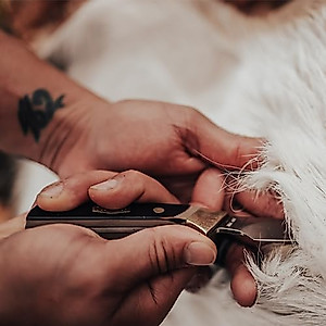 Old Timer 156OT Lil Finger 6.6in High Carbon S.S. Full Tang Fixed Blade Knife with 2.5in Drop Point and Sawcut Handle for Outdoor, Hunting and Camping