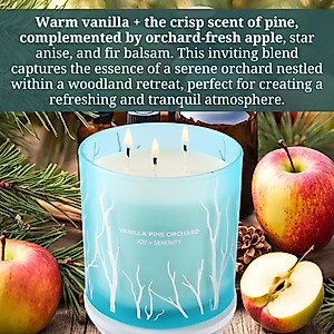 Vanilla Pine Apple Orchard Winter Candle - Natural Soy Pine Scented Candle 3 Wick - Christmas Fir Tree Holiday Scented Candle for Home 14.5 Oz - Large Relaxing Vanilla Candle Gift for Women & Men