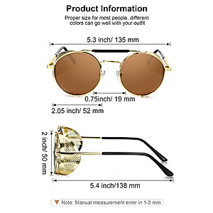 4 Pairs Steampunk Sunglasses Retro Gothic Sunglasses Unisex Vintage Sunglasses (Black Frame Grey Lens, Silver Frame Silver Lens, Gold Frame Brown Lens, Brown Frame Brown Lens)