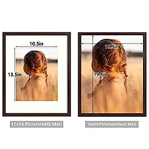 Golden State Art, 16x20 Picture Frame with Mat for 11x14 - High Definition Glass Wall Mounting Horizontal Vertical Display (Brown, 1 Pack)