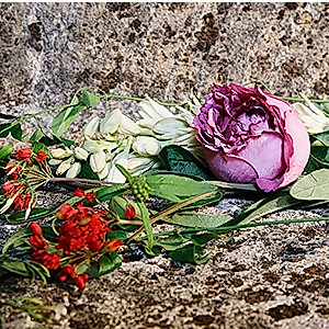 Gucci Gucci Bloom Ambrosia di Fiori Eau de Parfum Intense For Her Rollerball 0.25 oz/ 7.4 mL