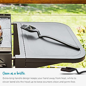 Dreamfarm BBQ Brizzle | Sauce Scooping Silicone BBQ Basting Brush | BBQ Sauce Brush That Scoops Every Last Drop of Sauce | Grilling Gifts for Men | Black