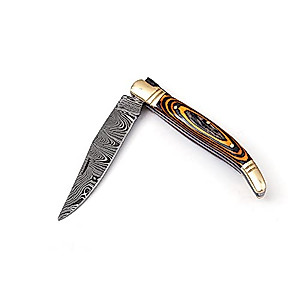 Damascus steel folding knife with leather sheath, 8.5 inches long laguiole pocket knife with 4 inches long Damascus steel Blade, 4.5 inches multi color wood scale with Brass bolster and pommel, Leather sheath included (Yellow Black)