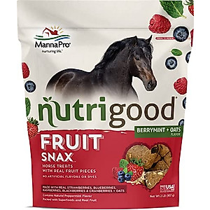 Nutrigood FruitSnax Horse Treats | Tasty Horse Treats Packed with Superfoods and Real Fruit Pieces | BerryMint + Oats Flavor | 2 Pounds