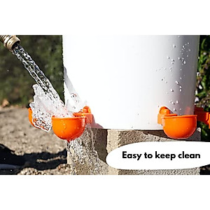 Roosty's® Chicken Waterer Cups x6 - Chicken Water Feeder Kit, Make Large Chicken Waterer 5 Gallon DIY Chicken Supplies, Chicken Water Cups, Duck Quail Waterer - Bebederos Para Gallinas,Poultry Waterer
