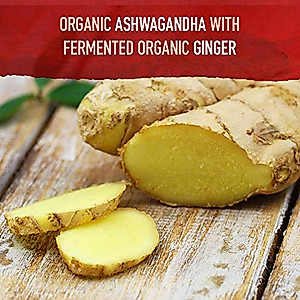 Garden of Life Organic Ashwagandha Stress, Mood & Energy Support Supplement with Probiotics & Ginger Root for Digestion - mykind Organics - Vegan, Gluten Free, Non GMO – 2 Month Supply, 60 Tablets