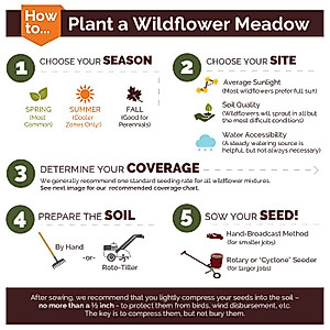 Florida Wildflower Seed Mix - 1/4 Pound - Mixed Wildflower Seeds, Attracts Bees, Attracts Butterflies, Attracts Hummingbirds, Attracts Pollinators, Easy to Grow & Maintain, Cut Flower Garden