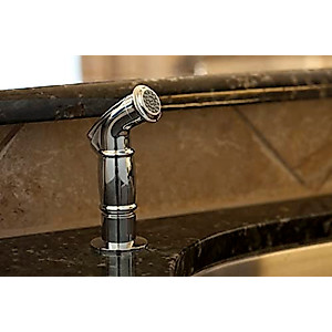 Danco 10334 Universal Kitchen Sink Side Spray, Chrome