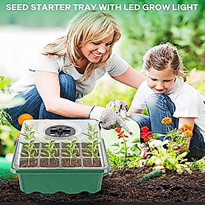 【2023 Upgraded】 Seed Starter Tray with Grow Light - 6 Pcs Seed Starter kit, Seedling Starter Trays with Humidity Dome, Mini Germination Kit for Seed Starting(12 Cell Per Tray)