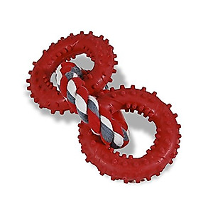 Petmate Dogzilla Locking Links Toy, Small