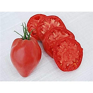 Hungarian Heart Tomato Seeds (20 Seed Pack)