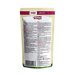 Living World Guinea Pig Treat, 2.6-Ounce