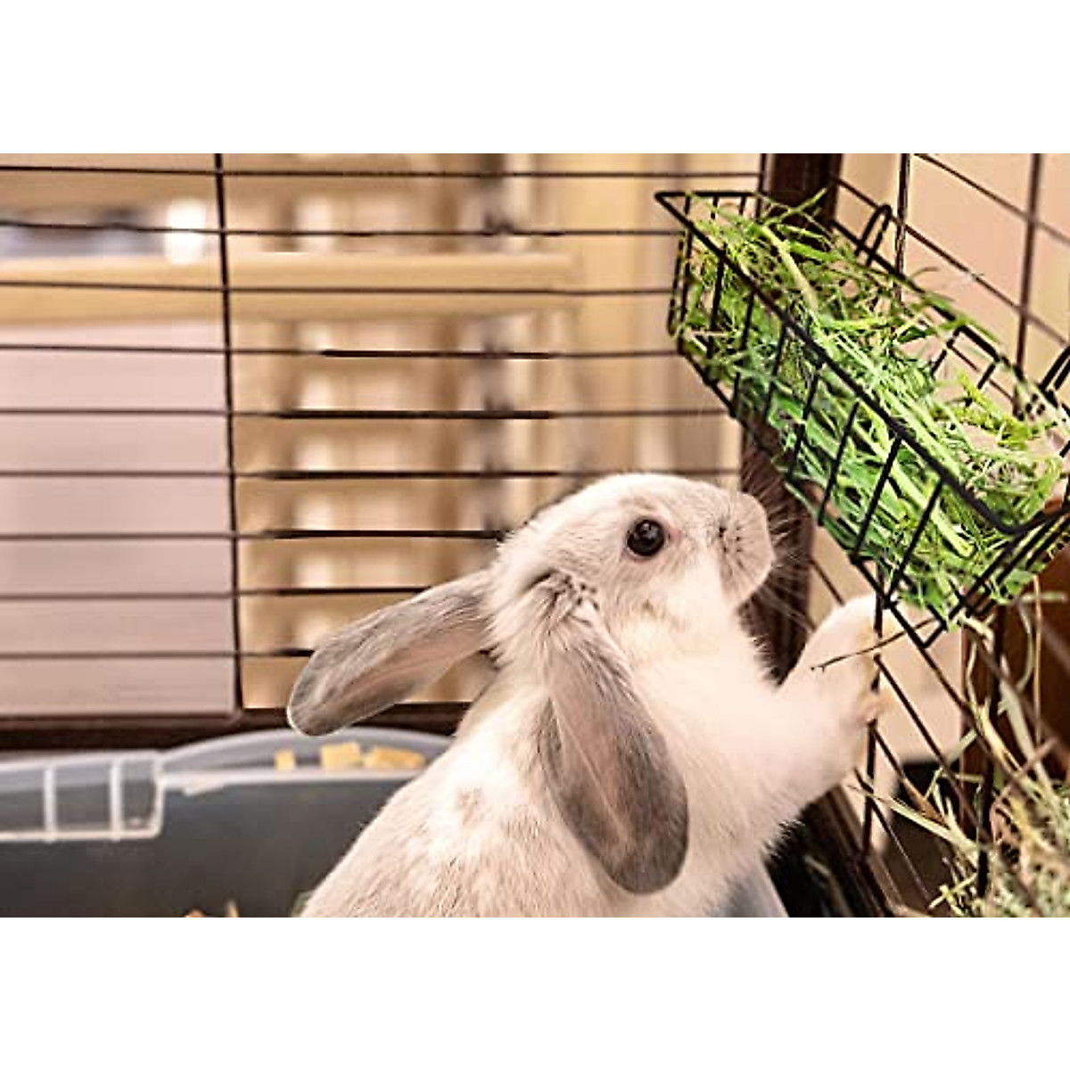 2 Pack Hay Feeder with Two Extra Hooks for Rabbit, Guinea Pig, Bunny, Chinchilla, Heavy Duty Metal Rack Hay Holder