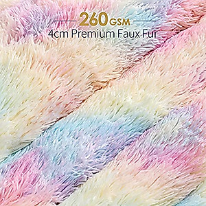 Mr. Sandman Faux Fur Weighted Blanket Queen Size 15 lbs, Luxury Elegant Long Fur Weighted Blanket Throw for Bed Sofa, Super Soft Warm Sherpa Reverse Heavy Blanket - 60"×80", Rainbow