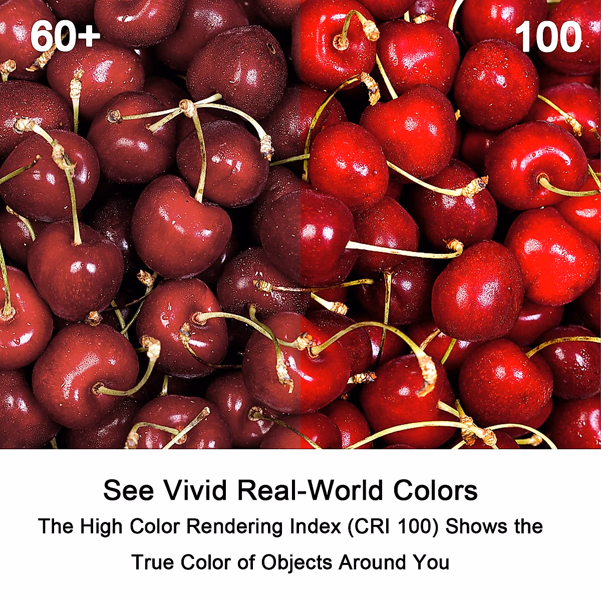 G8 Halogen Bulb 20W 120V Dimmable T4 JCD Type G8 Base Bi-Pin Xenon Bulb for Under Cabinet Puck Lights, Kitchen Hood, Landscape Lights, Warm White 2700K (10 Pack)