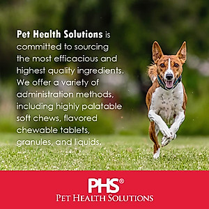 Pet Health Solutions Chickles Chicken Breast Fillets for Dogs - Tested Safe, Low Fat Chicken Dog Treats Natural - 100% Natural Chicken High Protein No Preservatives Propylene Glycol Free, 2 lb