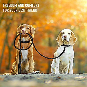 ACTIVE PETS Strong Dog Rope Leash with Soft Comfortable Padded Handle and Highly Reflective Threads, Dog Leash for Small Medium and Large Dogs, Puppy Leash for Training Running and Walking