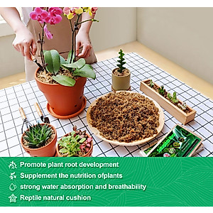 Mostopiaryart Sphagnum Moss Perfect for Plant Propagation, Extremely Strong Water Absorption Ability, Help with Maintain Humidity(3.5OZ)