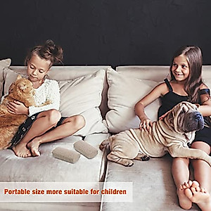 2 Pieces Pet Hair Remover for Cat Hair Removal Pumice Stone Tool Carpet Dog Fur Removal Tool for Car Couch Furniture Bedding Easy to Clean (4 Inches)