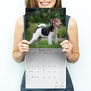 2023 2024 Wire Fox Terrier Calendar - Dog Breed Monthly Wall Calendar - 12 x 24 Open - Thick No-Bleed Paper - Giftable - Academic Teacher's Planner Calendar Organizing & Planning - Made in USA