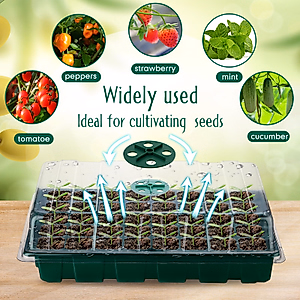 Hoolerry Seed Starter Tray 40 Cells Seed Starter Kit with Humidity Dome and Base Propagation Tray Plant Germination Trays Greenhouse Mini Propagator Station for Seeds Growing (Green,20 Pcs)