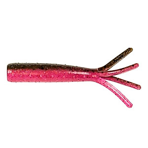 Z-MAN Diezel Minnowz 4 in Disco Cisco 5 Pack