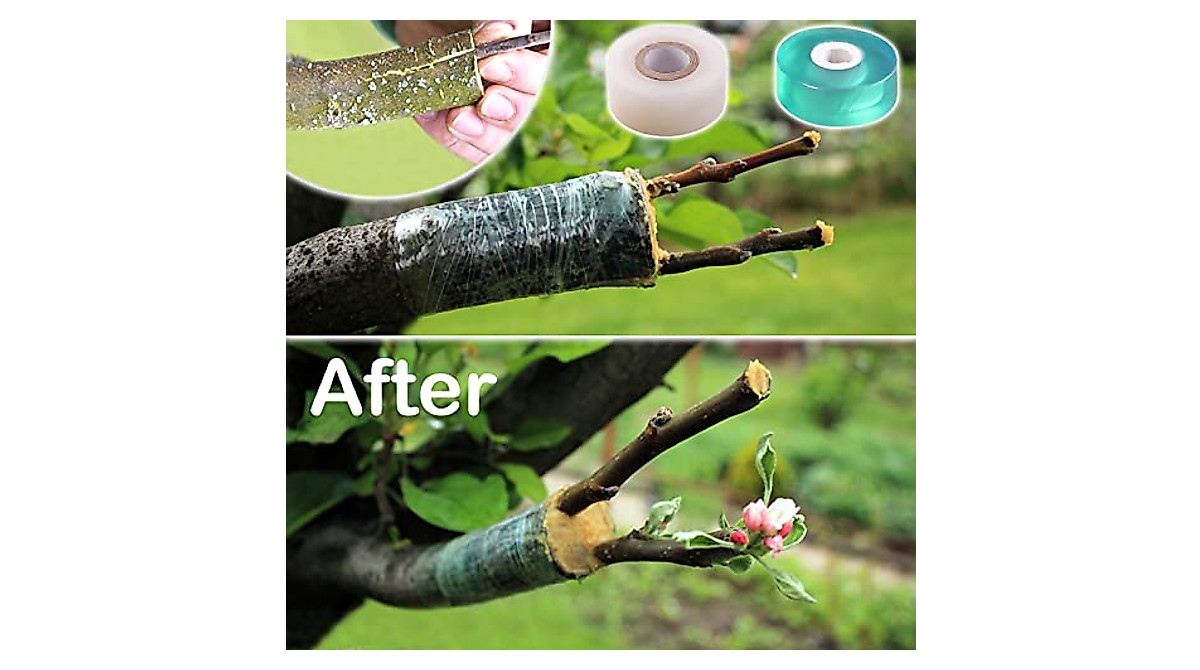 Garden Grafting Tool Kit for Fruit Trees – Precision Grafting Supplies