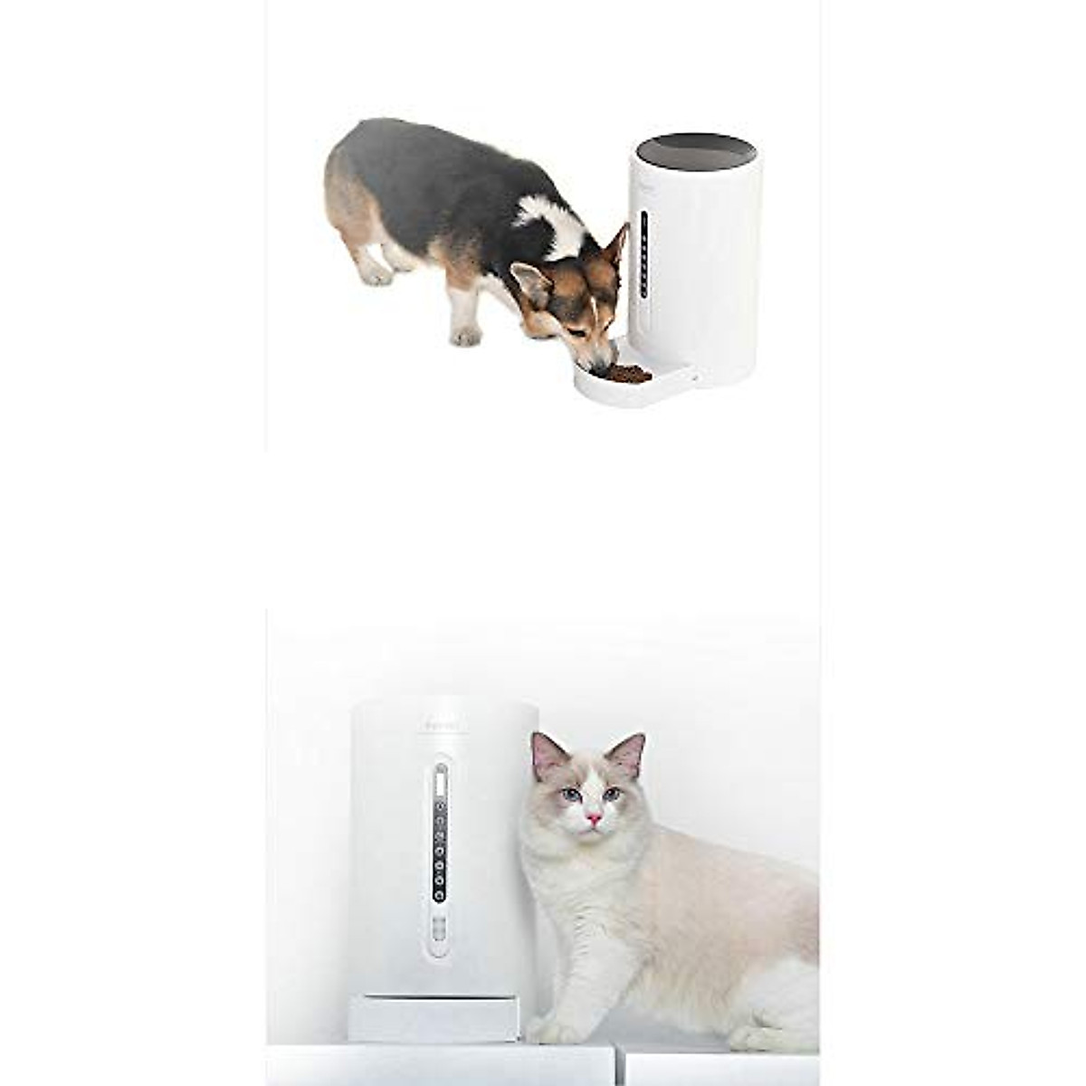 ZZK Pet Feeder 4.6L White Intelligent Automatic Pet Feeder for Cats and Dogs Timing and Quantitative Voice Calling Food Dispenser to Feed