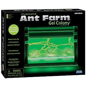Uncle Milton Ant Farm Live Ant Habitat, Light-Up Gel Colony