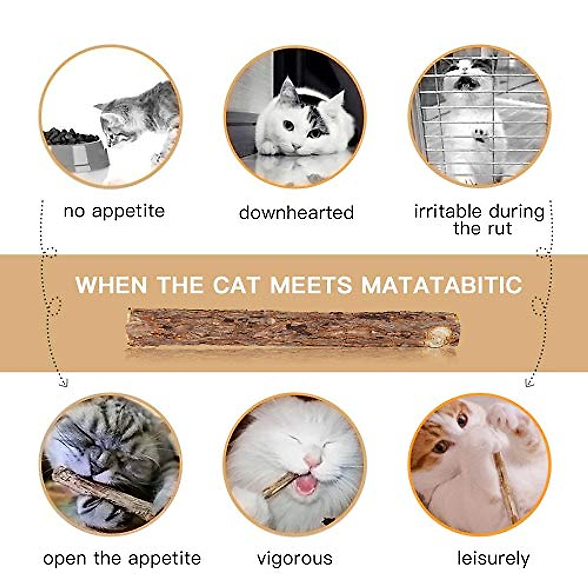 WoLover Cat Catnip Sticks Natural Matatabi Silvervine Sticks - Cleaning Teeth Molar Tools Kitten Cat Chew Toy Natural Catnip Cat Toy (10 PCS)