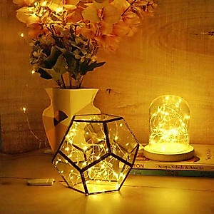 20 Pack Fairy Lights Battery Operated, 6.6ft 20 LED Mason Jar Lights Silver Wire Waterproof Firefly Mini Led String Lights for Table Party Wedding Centerpiece DIY Crafts Christmas Decor