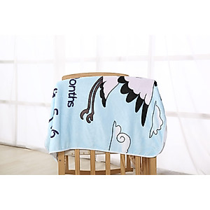 Baby Monthly Milestone Blanket Stork Carrying Baby Newborn Month Flannel Fleece Blanket Neutral Unisex Baby Boy Baby Girl Shower Gifts Double Sided Star 60" L x 40" W