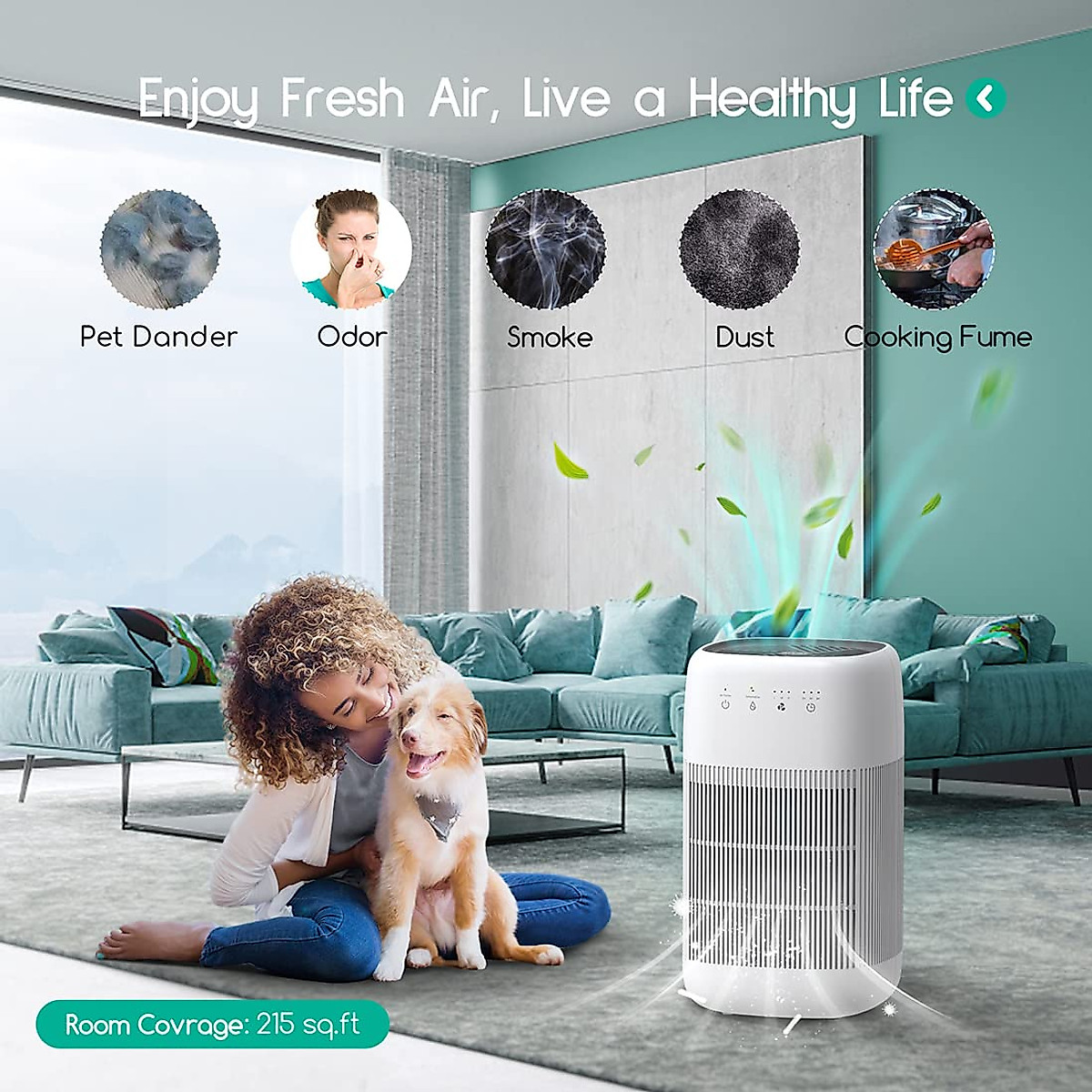 Air Purifier and Dehumidifier 2 in 1, Afloia Air Purifier Q10 Filter Replacement