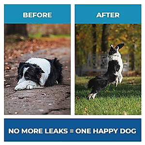 BestLife4Pets Dog UTI Kidney Support - Natural Urinary Tract Infection Treatment – Renal and Bladder Control Supplement – Easy to Use Pills (2 Pack)