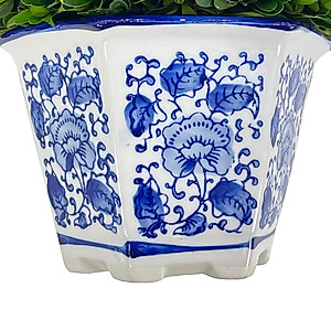 Galt International Preserved Natural Boxwood in Ceramic Pot - Plant and Table Centerpiece - Stunning Greenery and Plant Decor for Home - Blue & White - 9.5” Tall