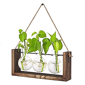 Dahey Planter Propagation with Wooden Stand, Desktop Plant Terrarium for Hydroponic Planter Station Wall Hanging Mounted Propagation Vase Home Garden Office Decoration Plant Lover Gifts, 3 Vase