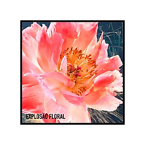 Christian Dior Joy Intense Women EDP Spray 1.7 oz