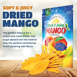 Dried Mango Slices - Delicious Texture Soft & Juicy Low Sugar Added Dried Mango - Naturally Ripened Mangos Dried Fruits - Gluten Free Dry Mangoes Natural Source of Vitamin C, Fiber, (16 Oz Dried Mango)