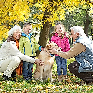 PetJoy Barking Collar for Dogs, Bark Collar with Beep & Shock, Bark Collar Automatic, Anti Barking Shock Collar for Small Medium Large Dogs