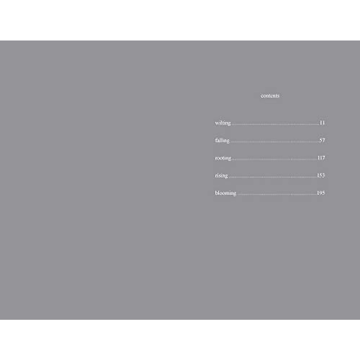 The Sun and Her Flowers