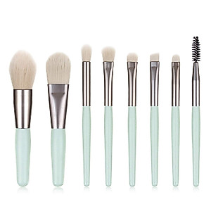 TOHERVIE Makeup Brushes Set with Bag, 8pcs Travel Makeup Brush Kit, Mini Cosmetic Brushes for Face Foundation Blush Eye Shadow, Wooden Handle Synthetic Bristle (Light Green)
