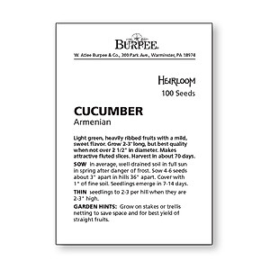 Burpee 'Suyo Long' Cucumber Seeds, 30 Non-GMO seeds, Heirloom